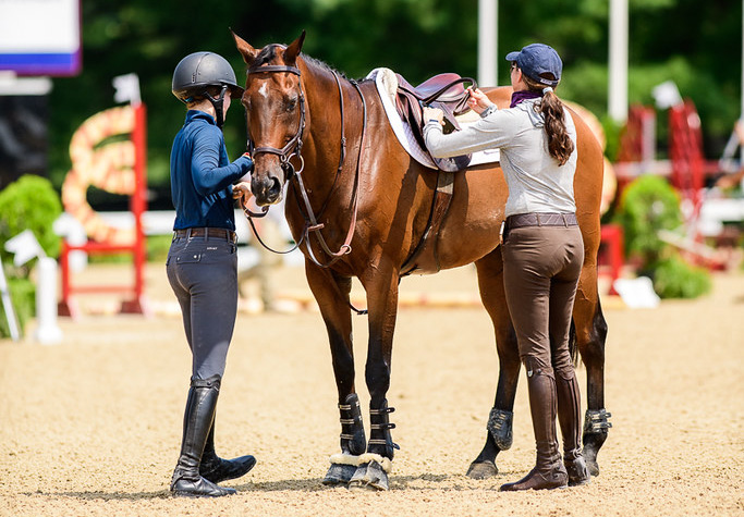 The Value of Working Students in Equestrian Programs - The Plaid Horse ...