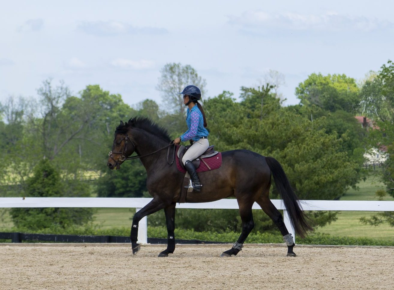 Trainer Tuesday: Why could a horse be more stiff bending in one ...