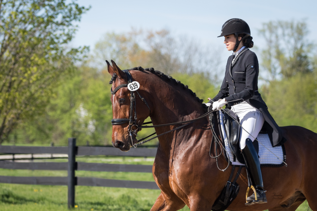 Novella Equestrian's Taryn Young Teams Up With Iconic 5/A Baker® - The ...