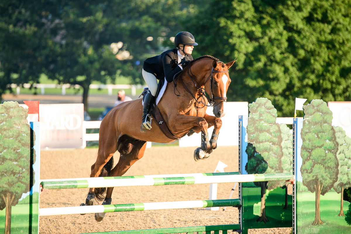 Why College Matters for Equestrian Athletes: Balancing Education and ...