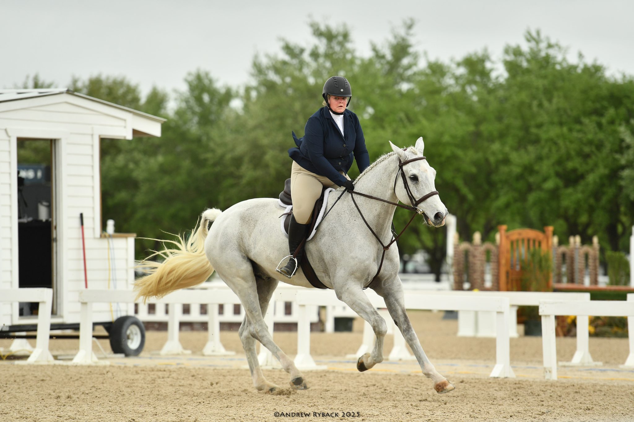 An Older Adult Amateur Equestrian's Guide to Gen Z Slang - The Plaid ...
