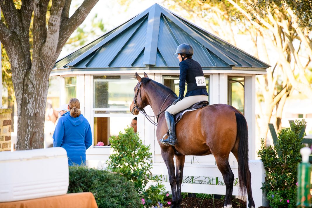 Why Horse Show Volunteers Matter More Than Ever - The Plaid Horse Magazine