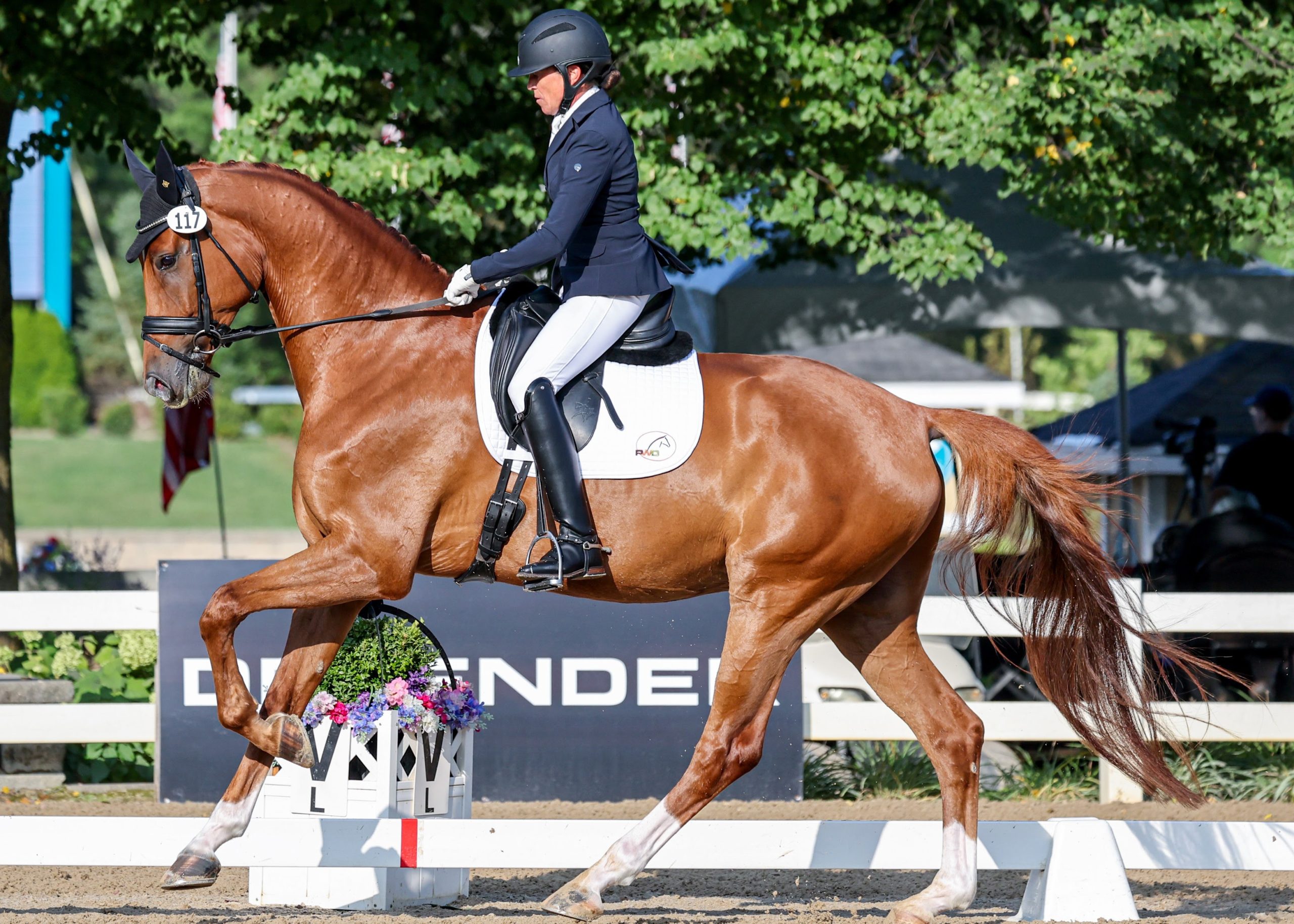 Petra Warlimont Named 2025 Recipient of the AHSF Young Dressage Horse ...