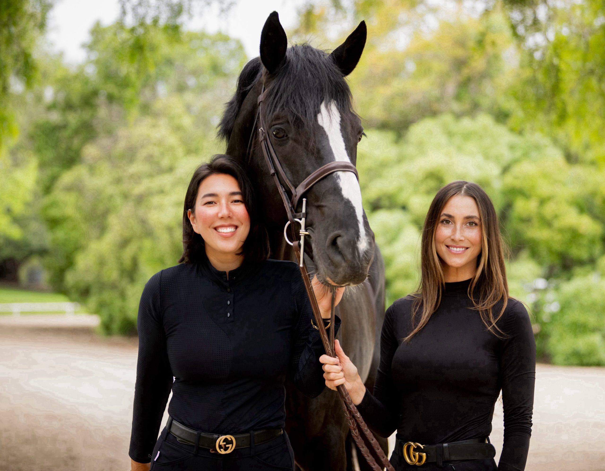 North American Breeding: Hunter Stallion Jethro Tull G - The Plaid ...