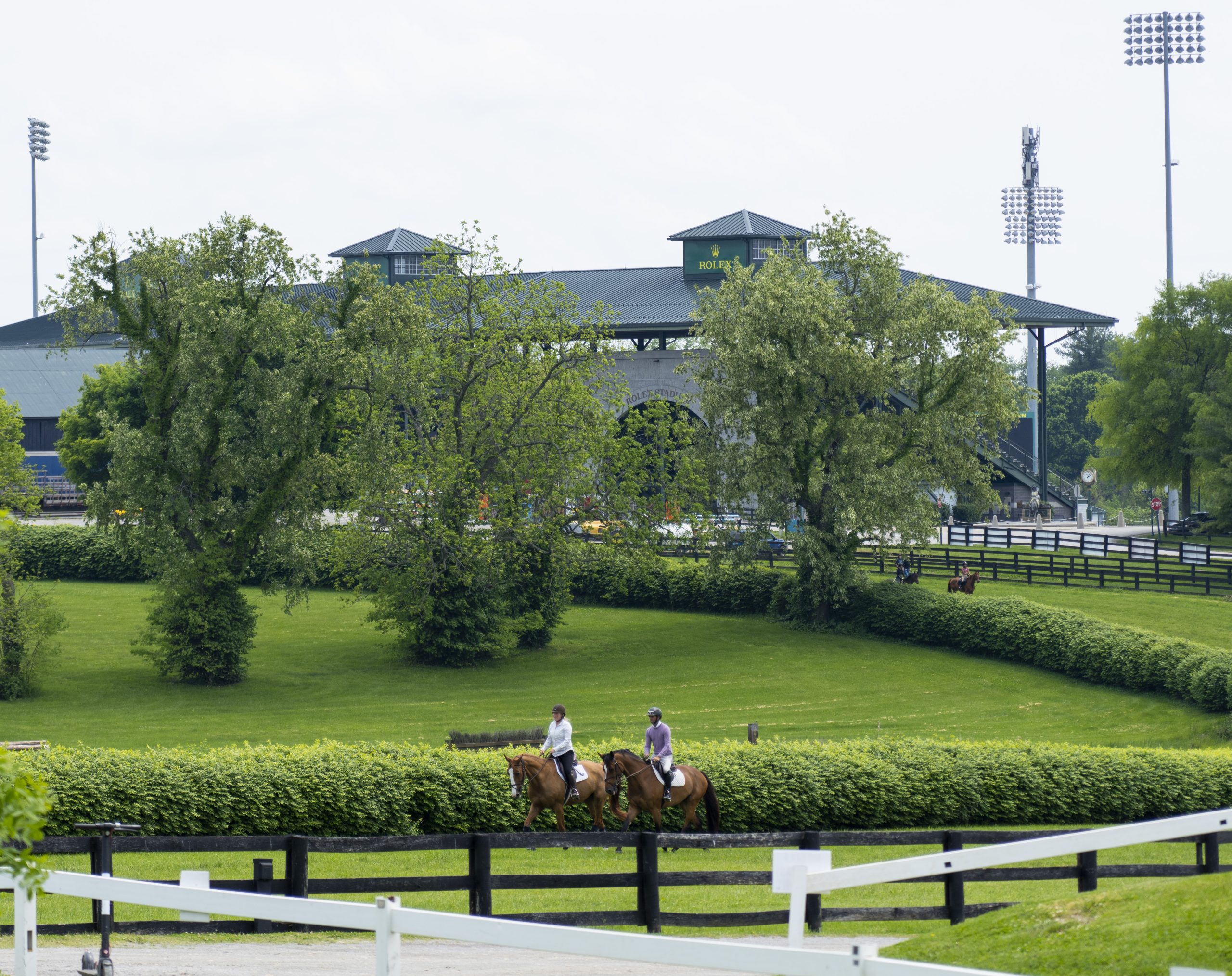 Let's Make it Easy to Follow the Rules - The Plaid Horse Magazine