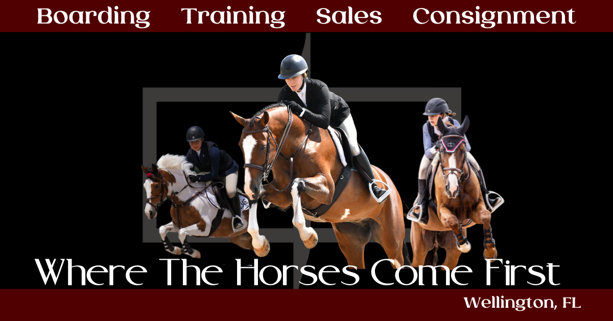 The Key to Equestrian Happiness? Enjoyment Before Achievement - The ...