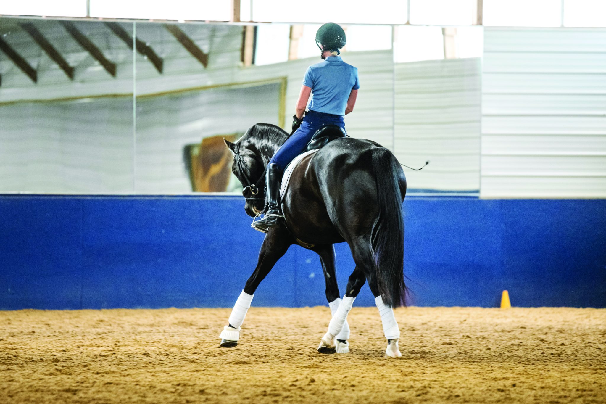 Lessons With the Master - The Plaid Horse Magazine