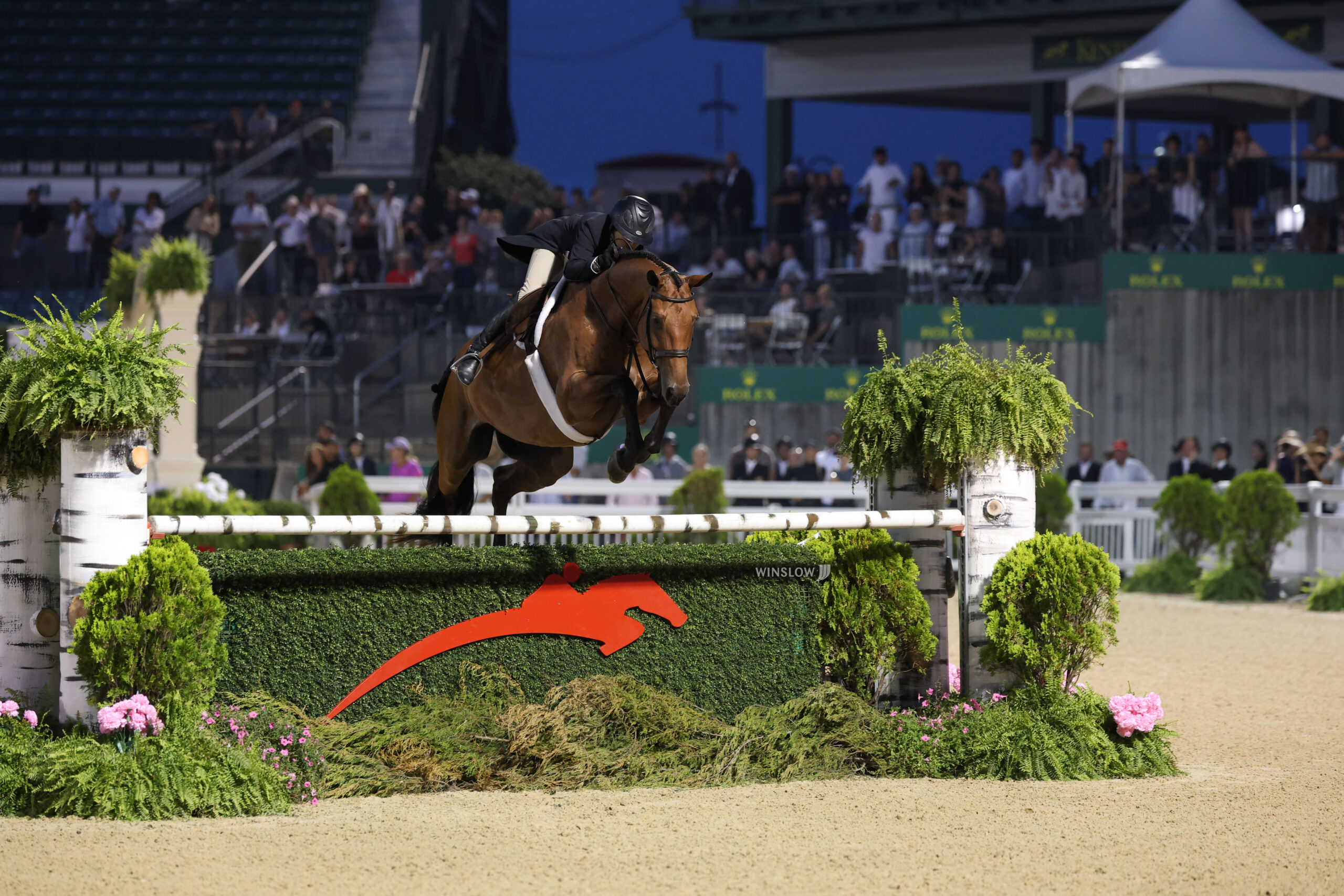 On Dicoblue PS, Victoria Colvin Makes History Winning USHJA ...