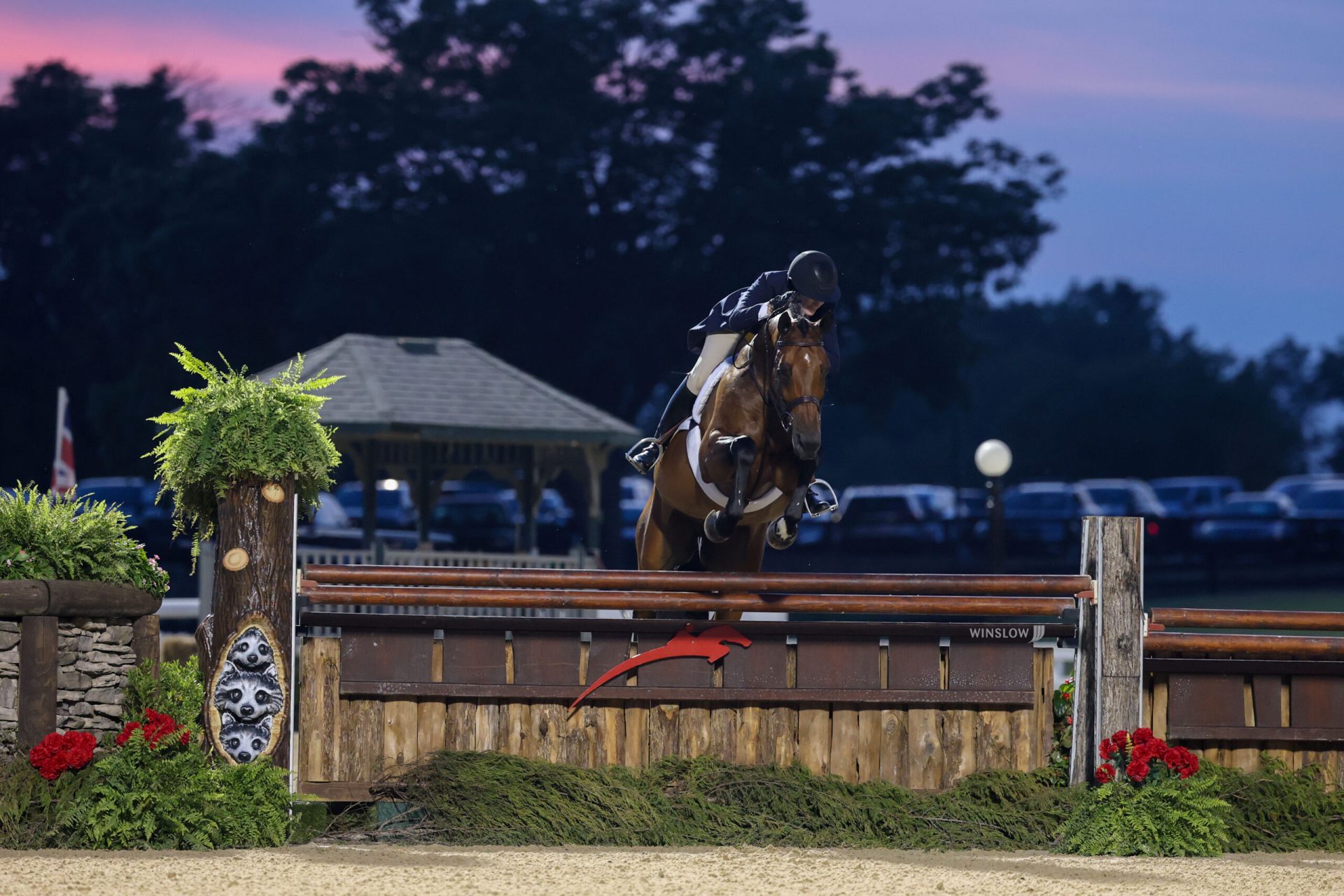 On Dicoblue PS, Victoria Colvin Makes History Winning USHJA ...