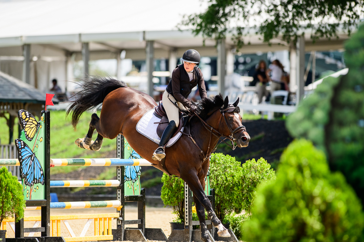 Breaking Free from the Equestrian Perfection Trap - The Plaid Horse ...