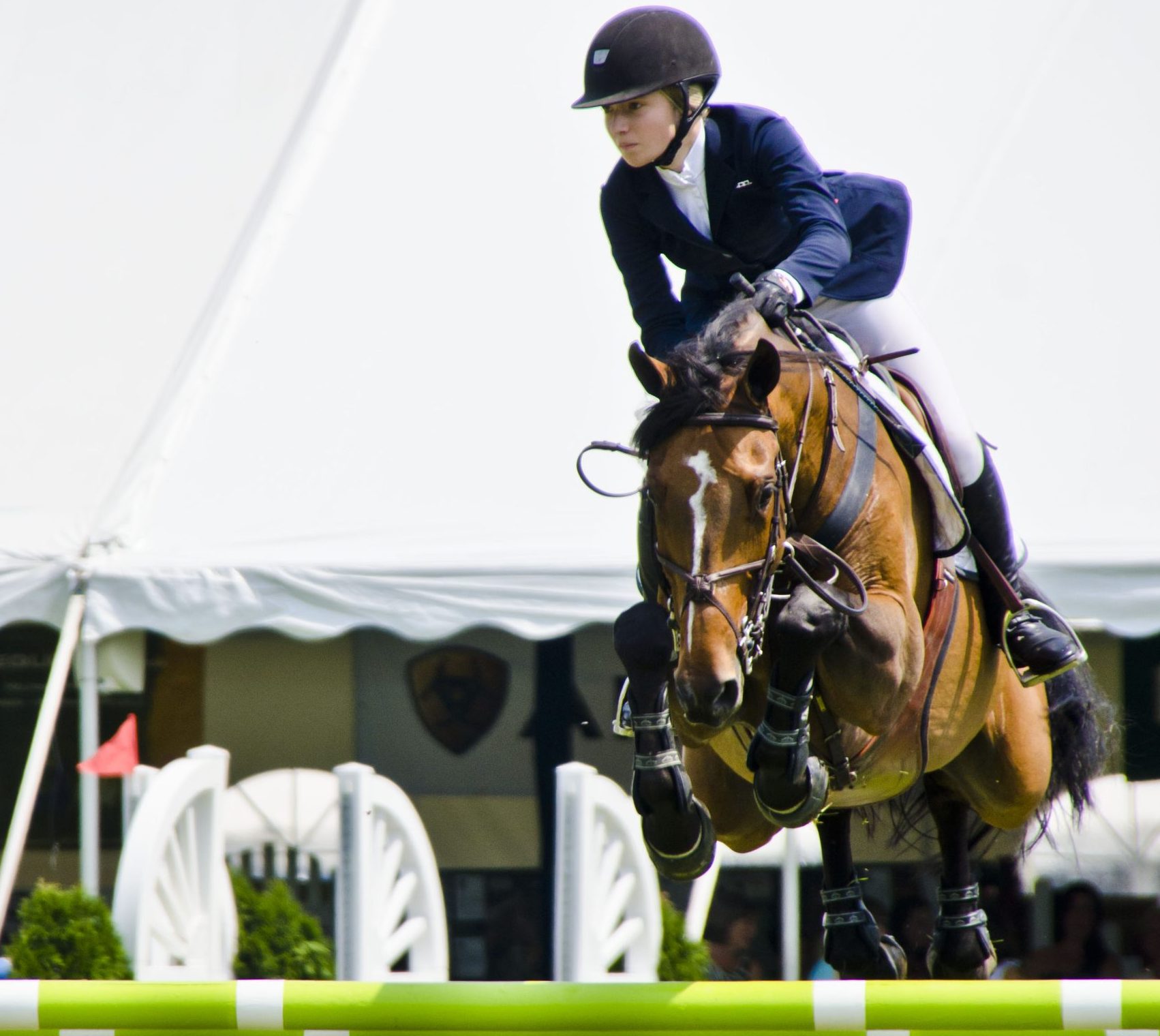 Trainer Tuesday: When would you describe a horse as "careful" over the ...