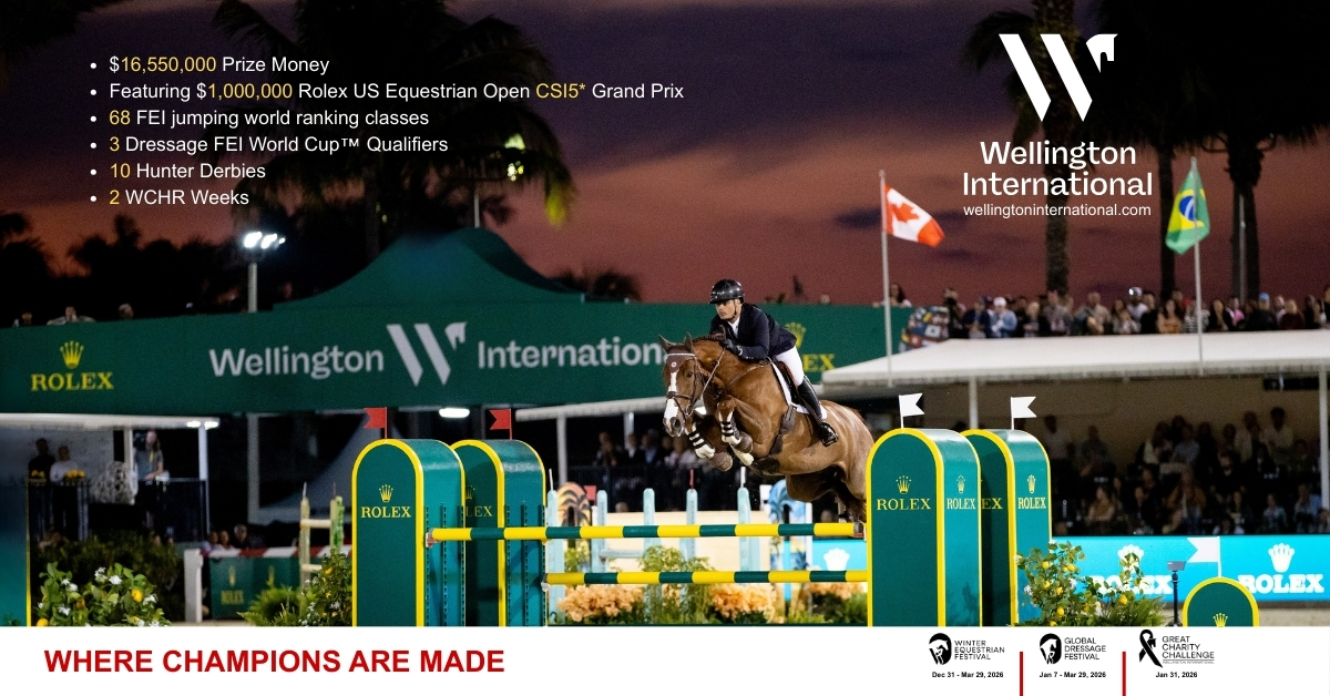 Highline Tack - The Plaid Horse Magazine