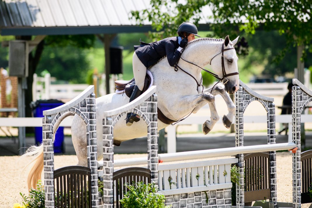 Finding Your Riding Groove Again After a Long Break - The Plaid Horse ...