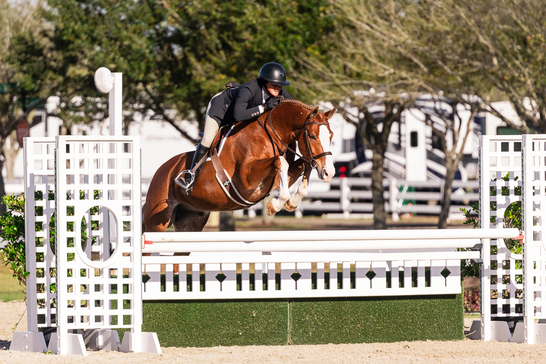 Why Hunter Judging Needs to Be More Transparent - The Plaid Horse Magazine