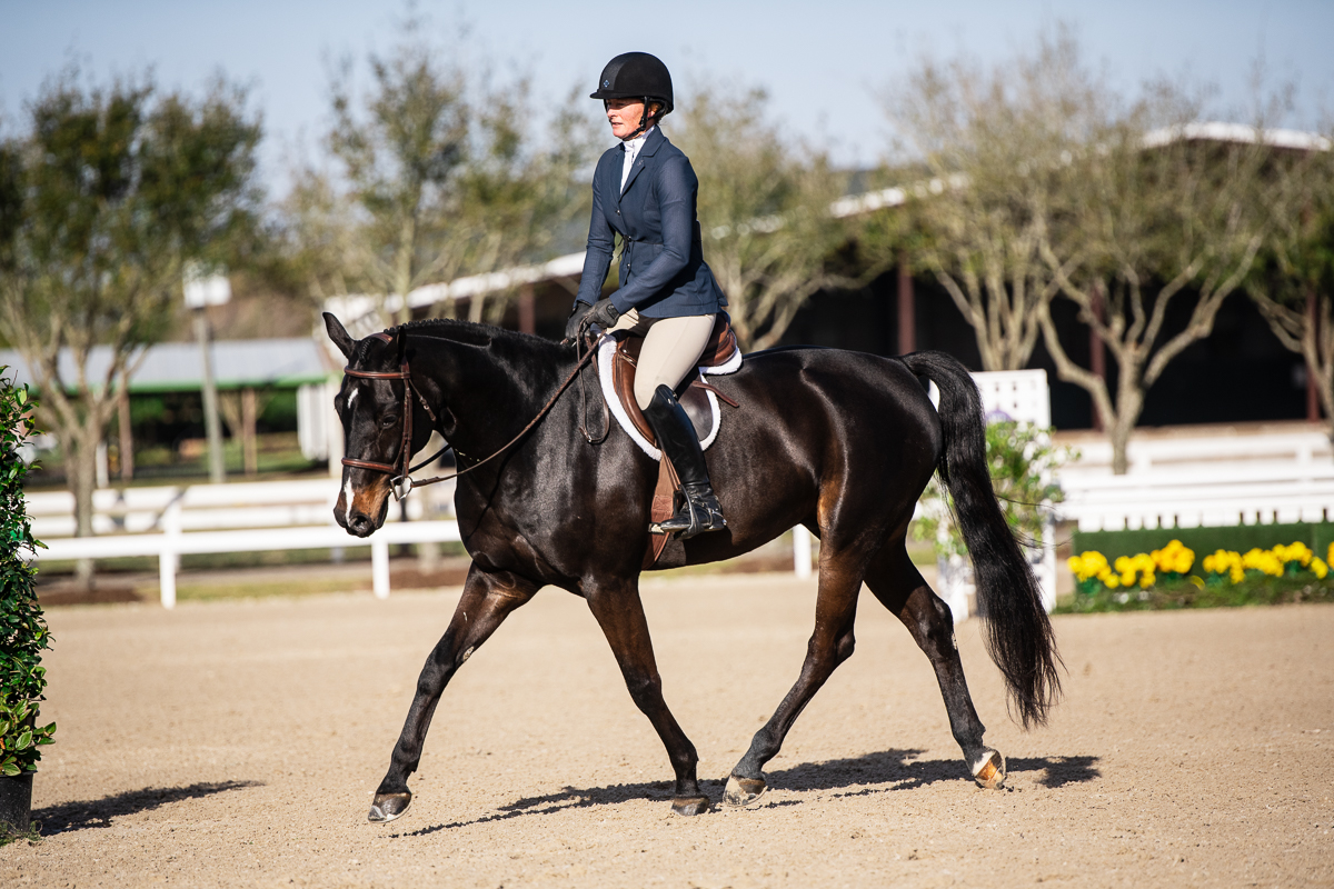 Less Is More: Why Simplicity Beats Quick Fixes in Riding - The Plaid Horse Magazine