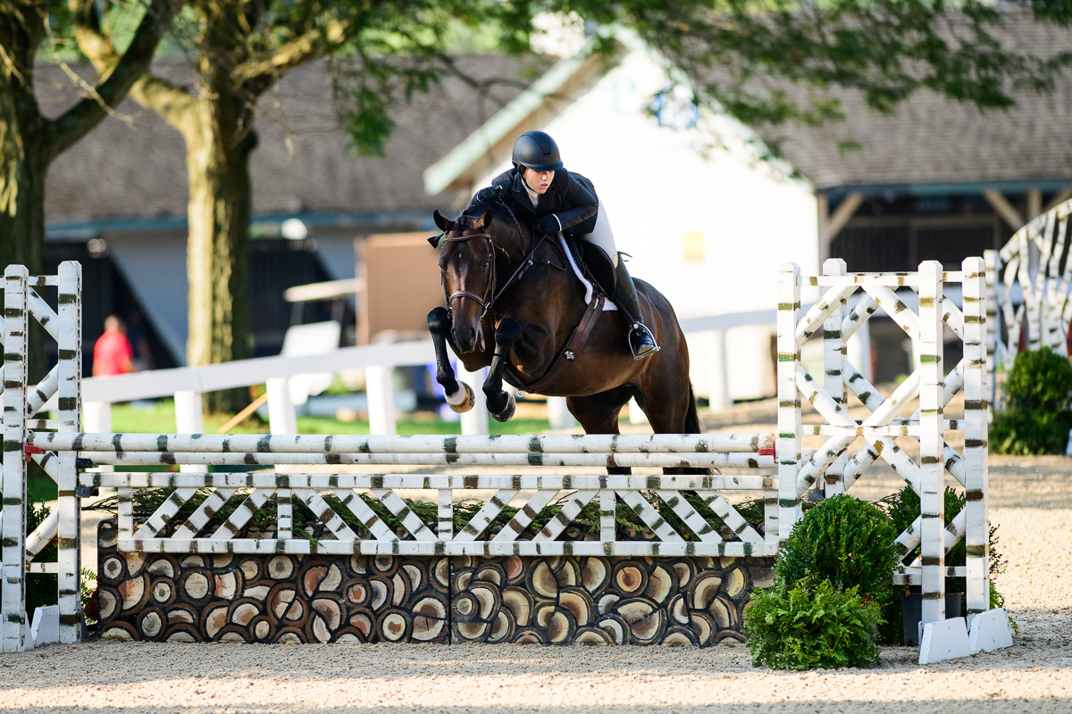 Horses Need Routine, Structure, and Positive Reinforcement - The Plaid ...