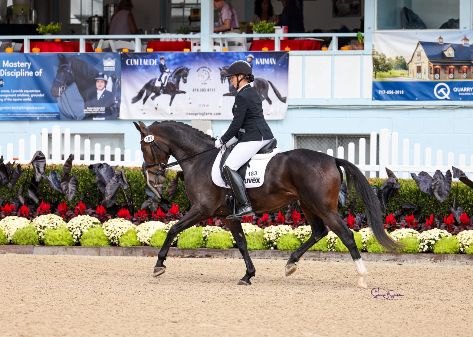 Valballa and Silva Martin Capture ProElite/USDF Four-Year-Old Materiale ...
