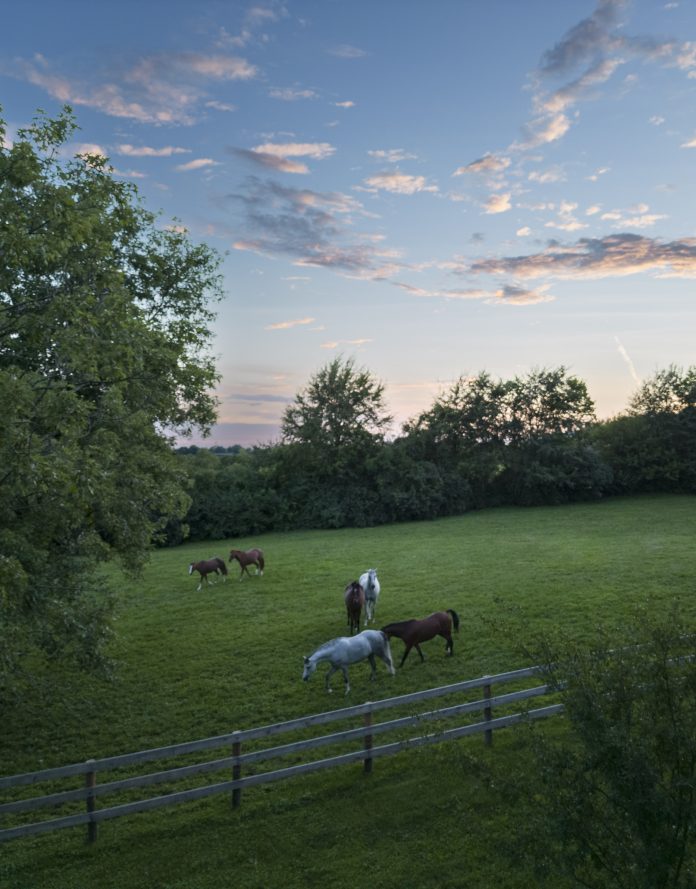 The Plaidchat: Dr. Stephen Rich & Eric Siegel - The Plaid Horse Magazine