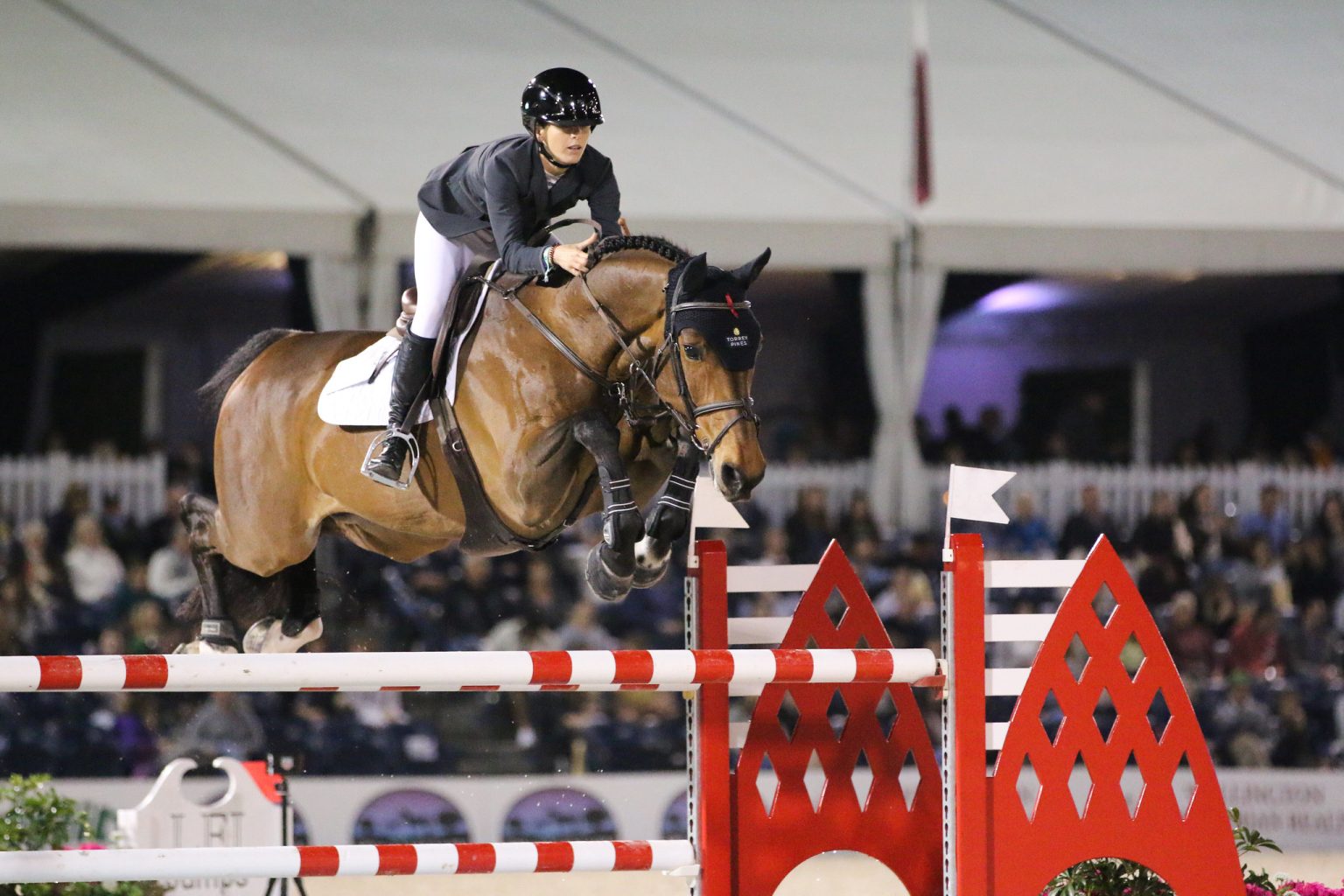 Form Meets Function: The Art of Riding with Balance, Control, Harmony ...