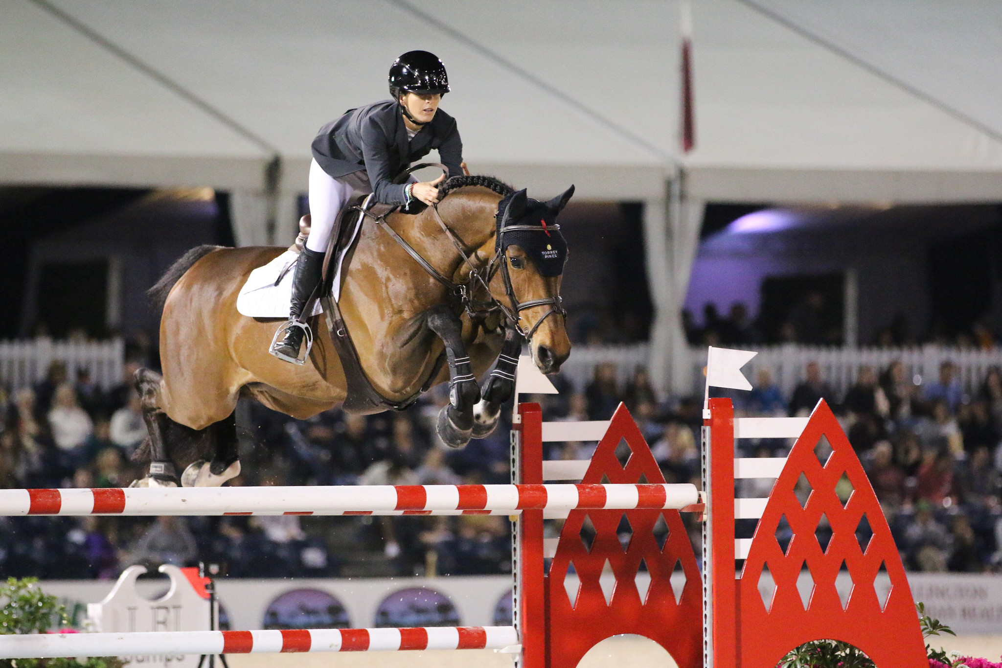 Form Meets Function: The Art of Riding with Balance, Control, Harmony ...