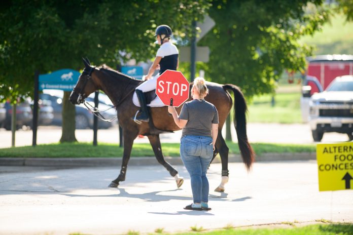 Don’t Forget to Read the Fine Print: Breaking Down USEF and USHJA Fees ...