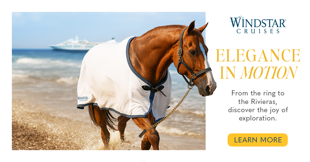 Highline Tack - The Plaid Horse Magazine