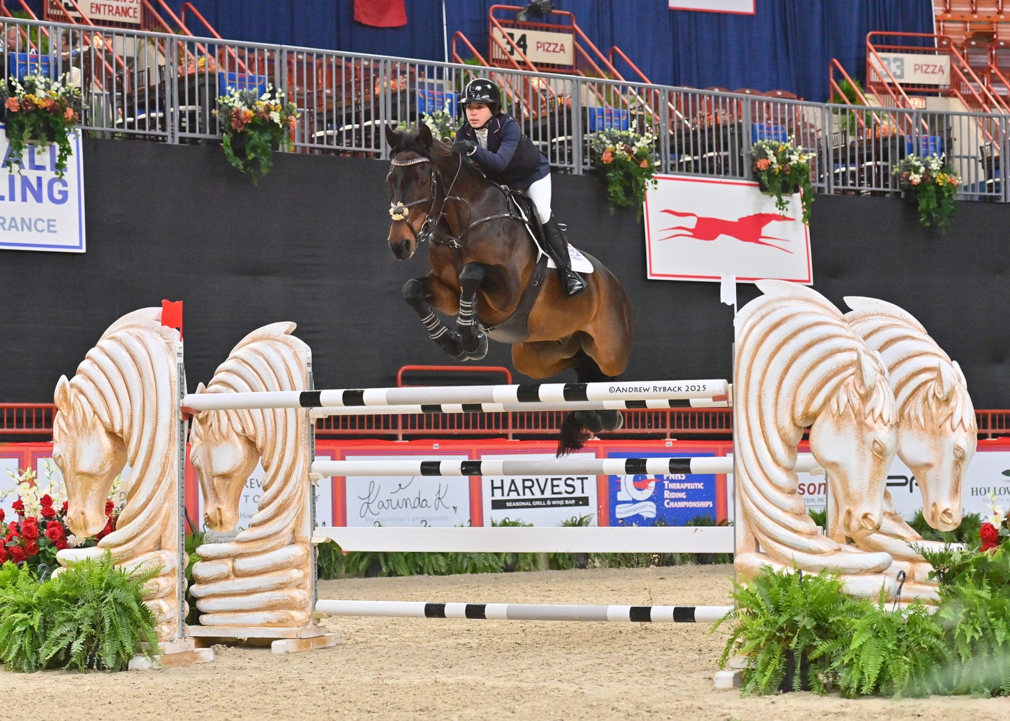 Mistral van de Vogelzang and Clara Propp Clinch Gold Medal in Turnham ...