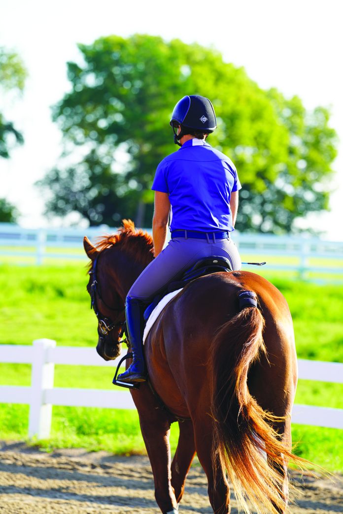 Garmin Enters Equestrian Market With Wearable Technology For Horses ...