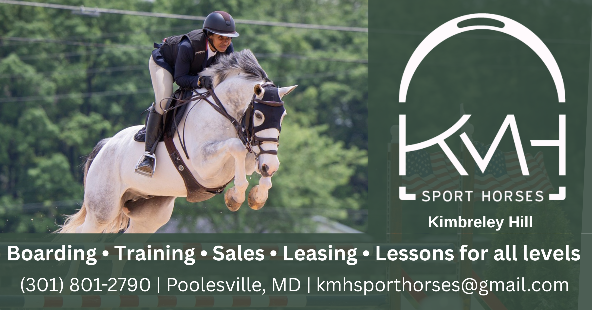 The Impact of Doping Investigations and Scandals on the Horse Racing ...