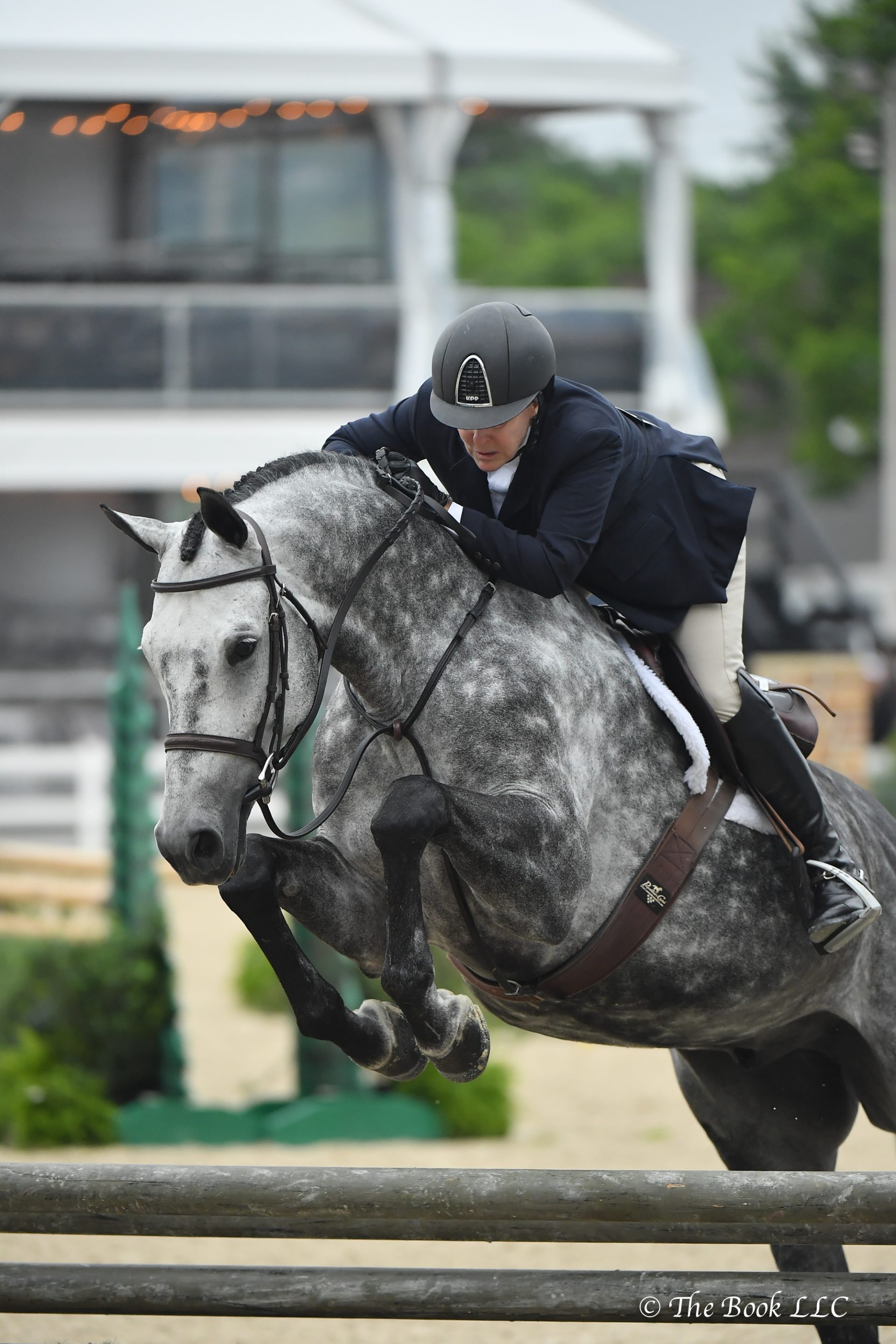 Phipps Equine Consulting: A Full-Service Equine Consultancy Now Offering A New Suite Of Services ...