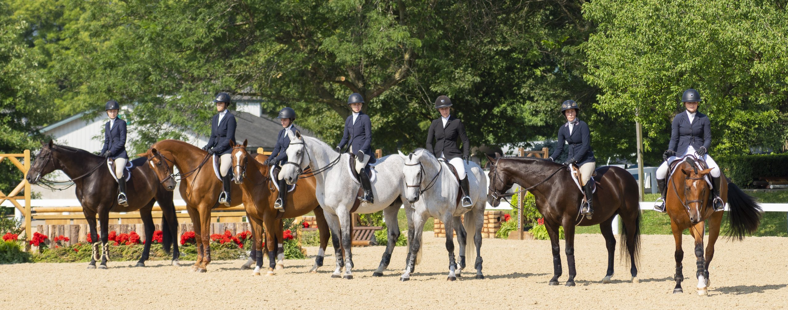 After Initial Cancellation, the USHJA Adult 3'3" Jumping Seat Medal ...