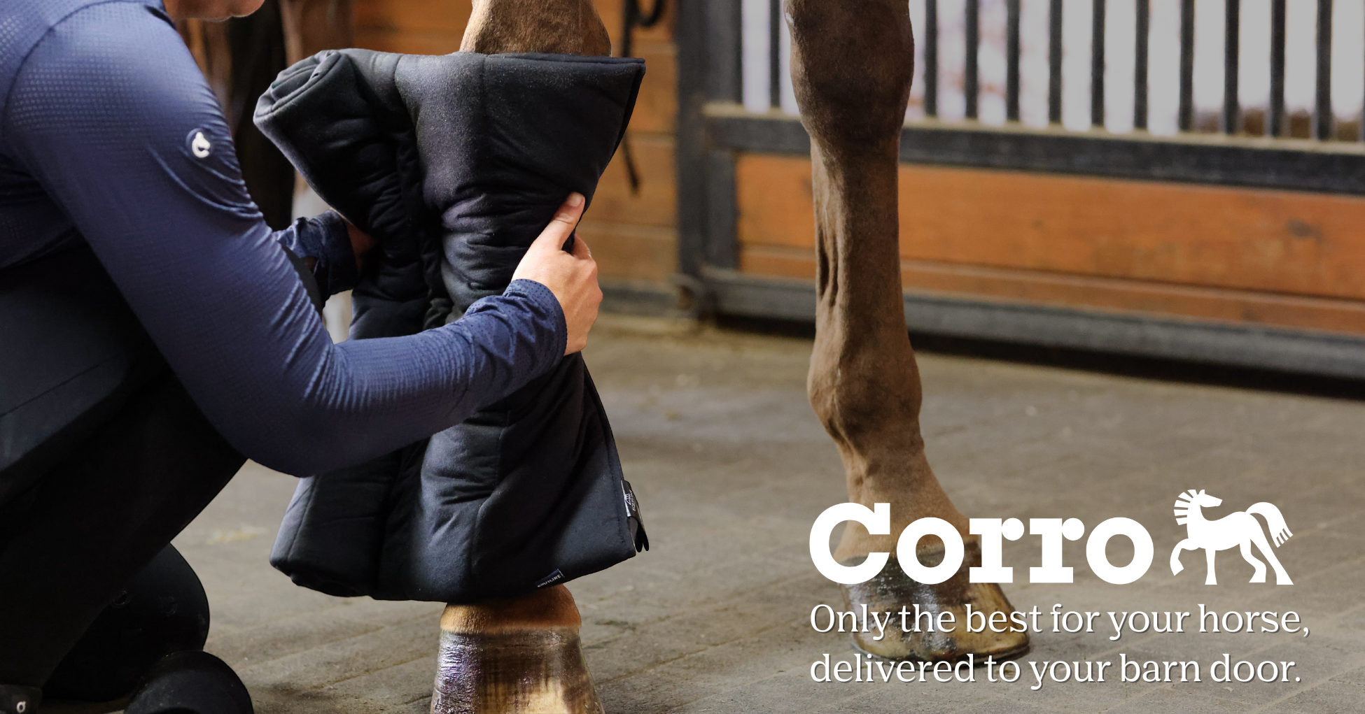 Navigating the Modern Equestrian Industry: Trends, Challenges, and ...