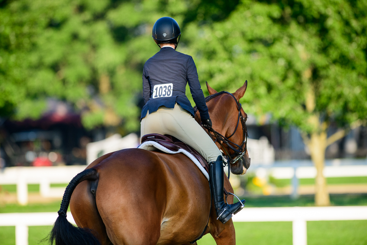 $4 Million Later: What USEF’s Drug Testing Program Actually Found (and ...