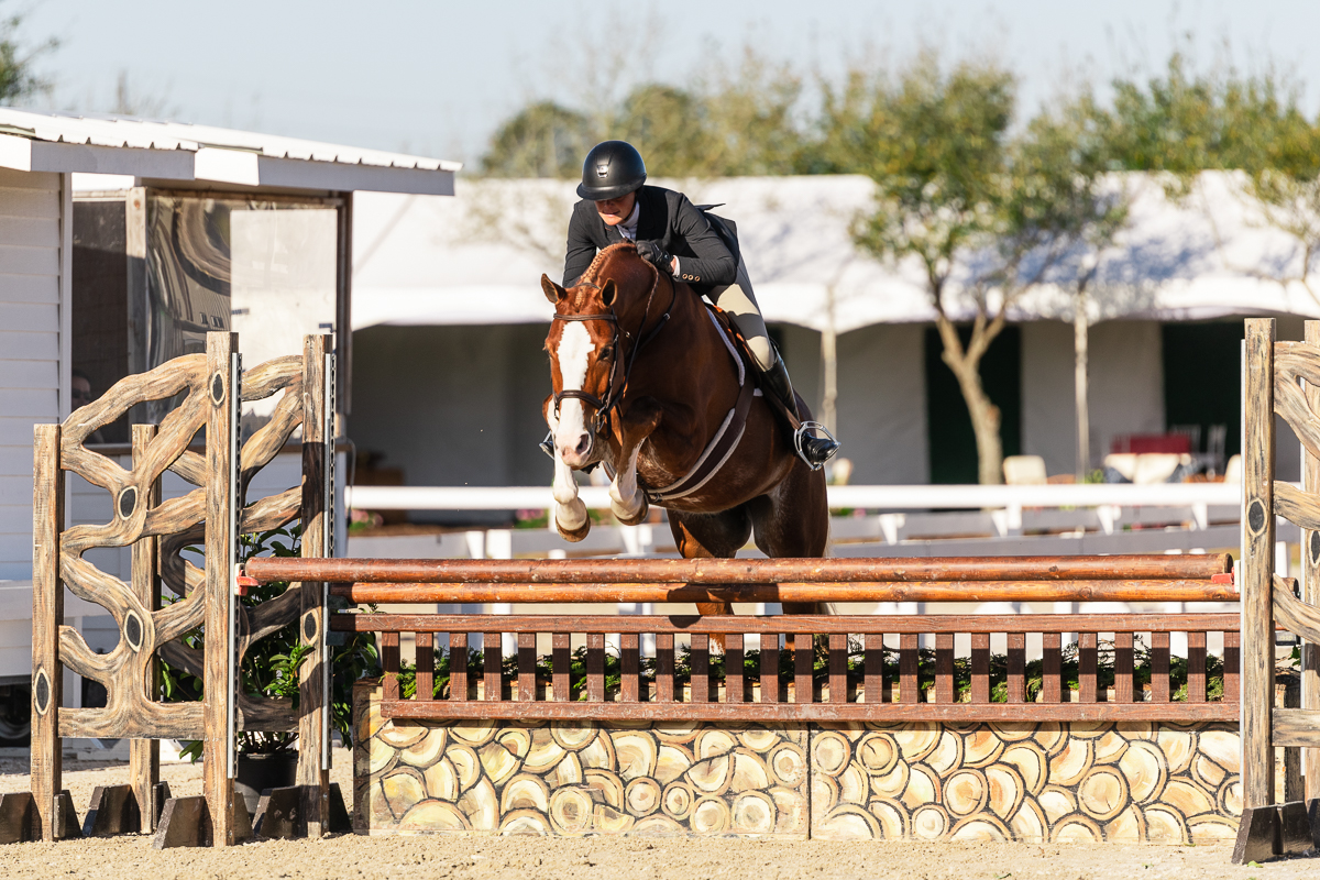 Rethinking the Hunter Ring: Why We Need Harder Courses - The Plaid ...