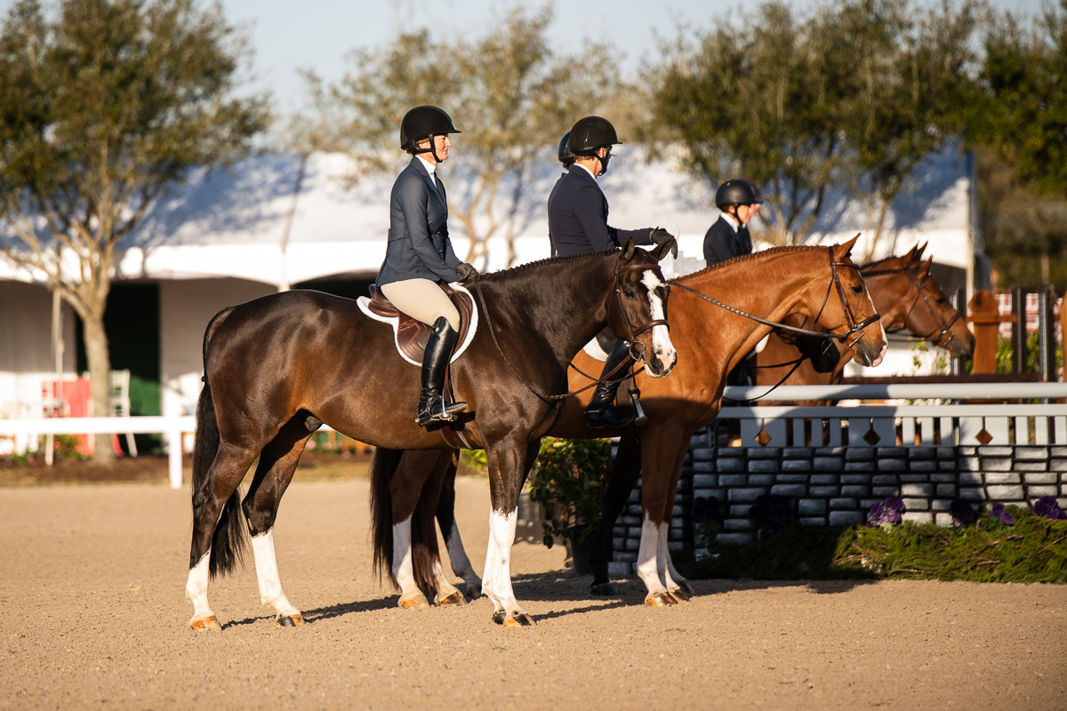 Talent vs. Hard Work: What Really Creates Great Riders - The Plaid ...
