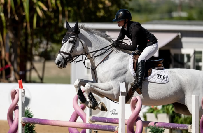 Bolland and Wiener Earn Victory in 2025 Show Jumping Hall of Fame ...