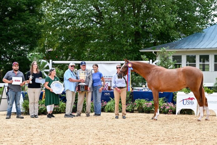 Rockwell FV Takes Sallie B. Wheeler/USEF/USHJA Hunter Breeding National ...