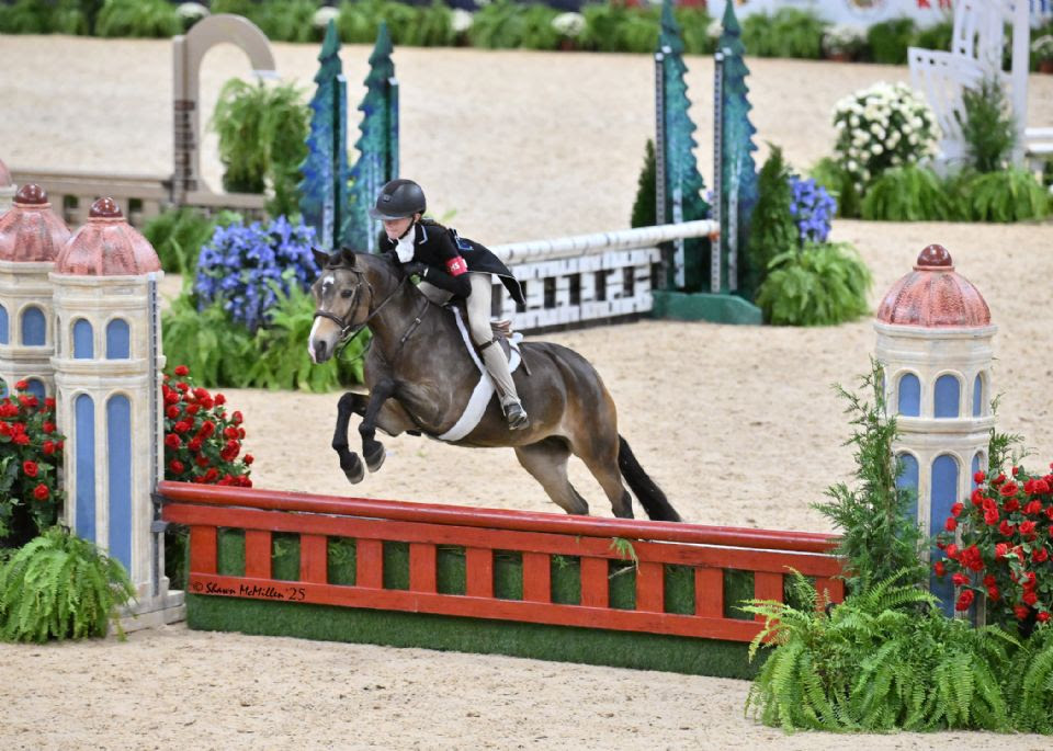 Clovermeade Heartthrob and Orchard Hills Firefly Tie for Grand Pony ...