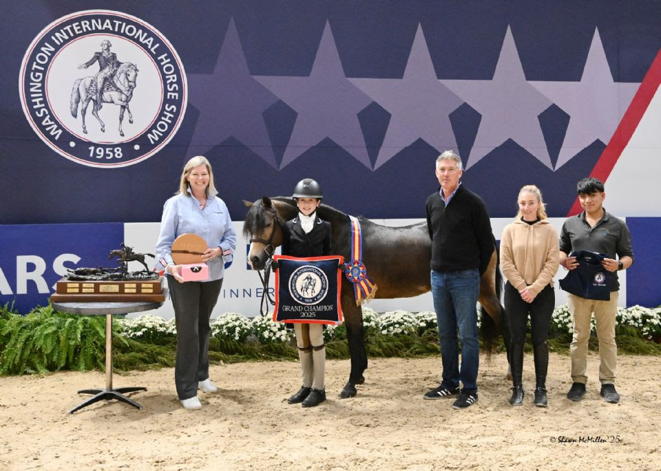 Clovermeade Heartthrob and Orchard Hills Firefly Tie for Grand Pony ...