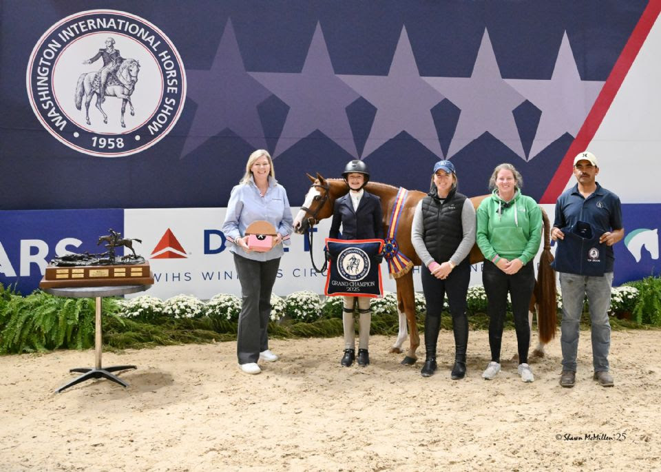 Clovermeade Heartthrob and Orchard Hills Firefly Tie for Grand Pony ...