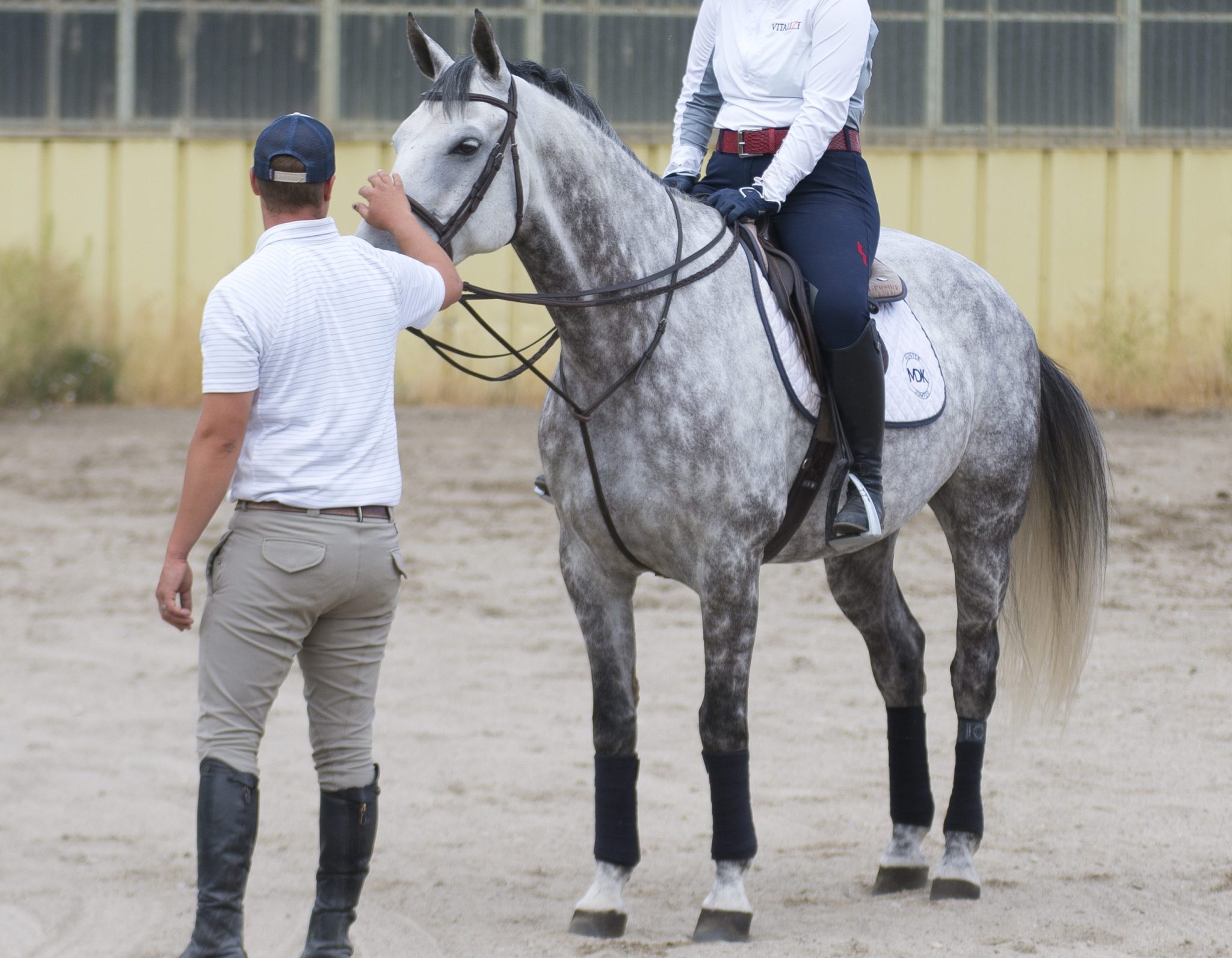 Trainer Tuesday: What is a trait, personality type, or skill in a rider ...