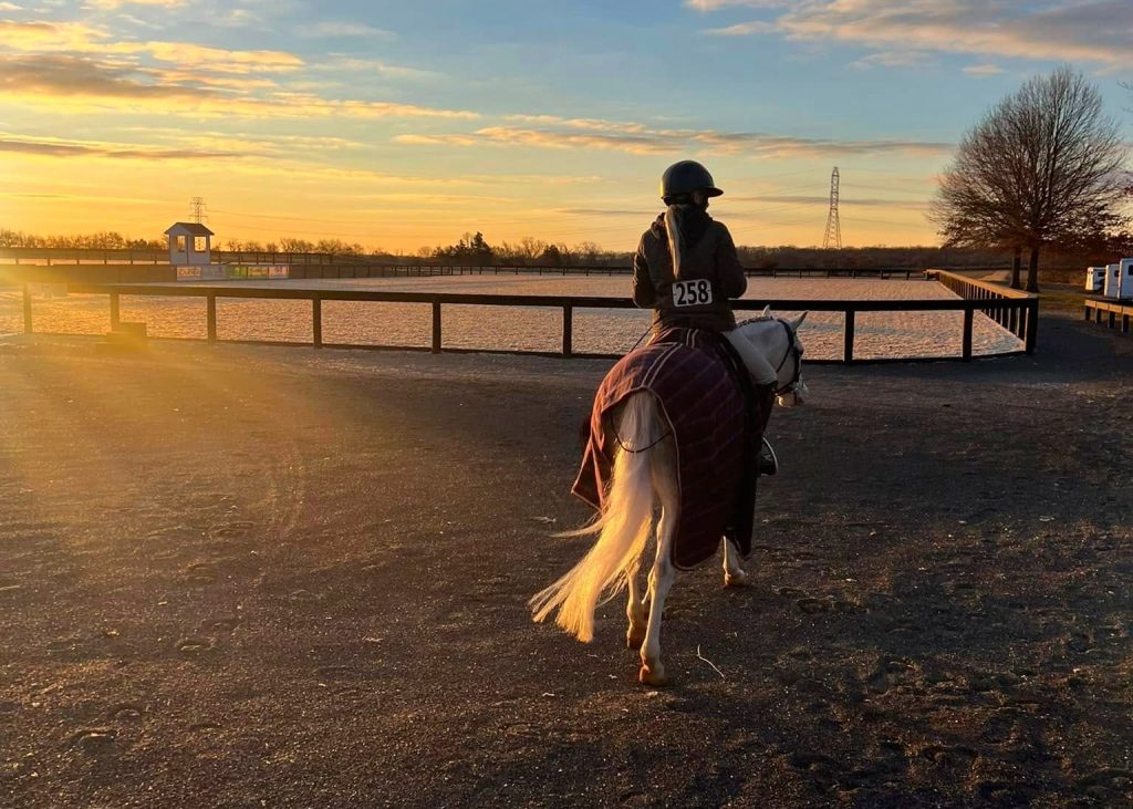 Building a Name Without a Horse: The Importance of Catch Riding - The Plaid Horse Magazine