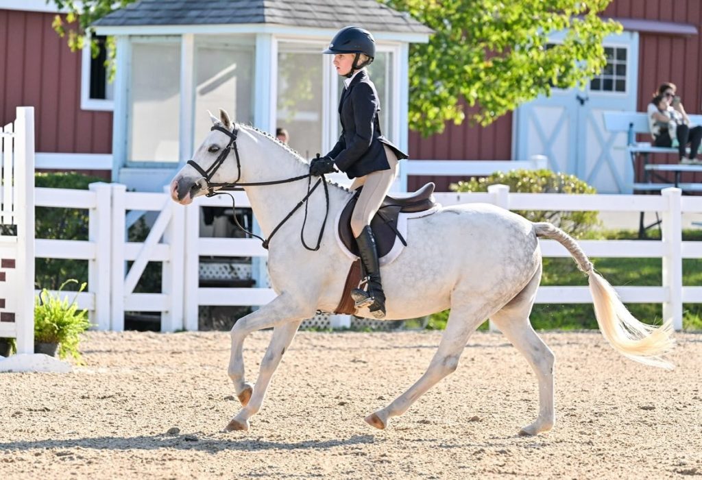 Building a Name Without a Horse: The Importance of Catch Riding - The Plaid Horse Magazine