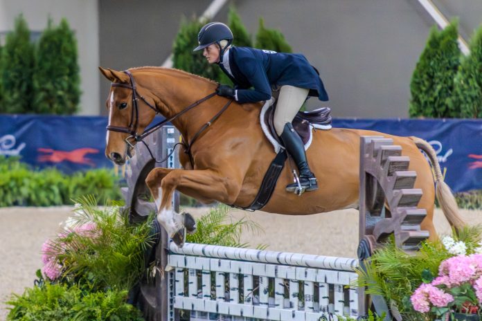 Hunter Course Design as an Art Form - The Plaid Horse Magazine