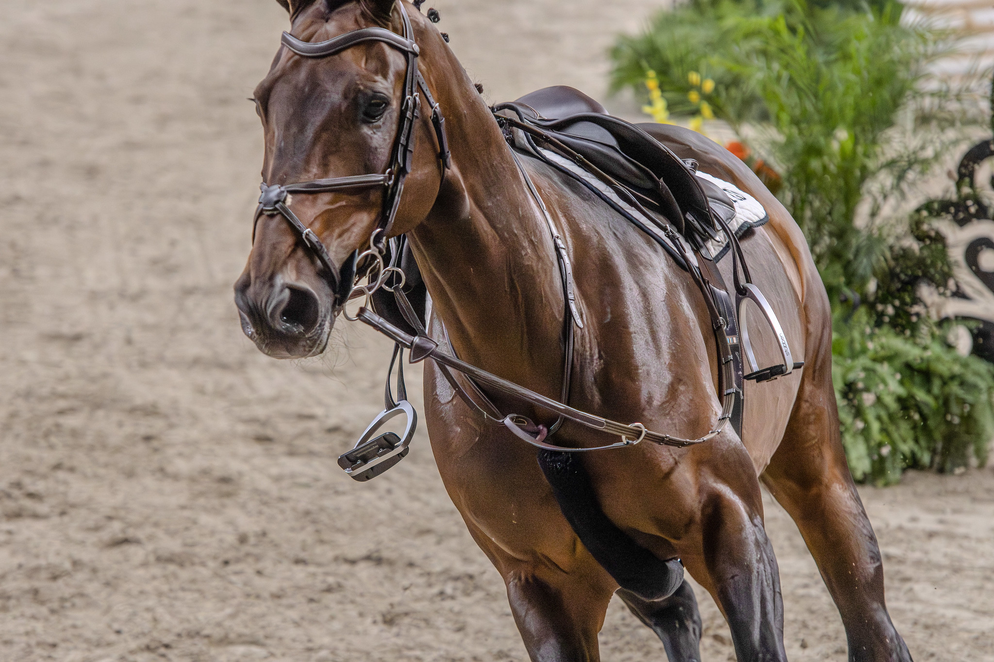 Why Riders Sabotage Themselves by Focusing on Results Instead of Riding ...