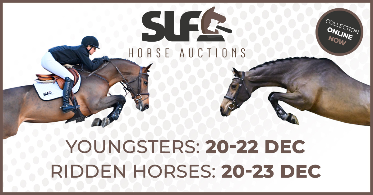 What’s New with the Horse Protection Act: Key Findings from the ...
