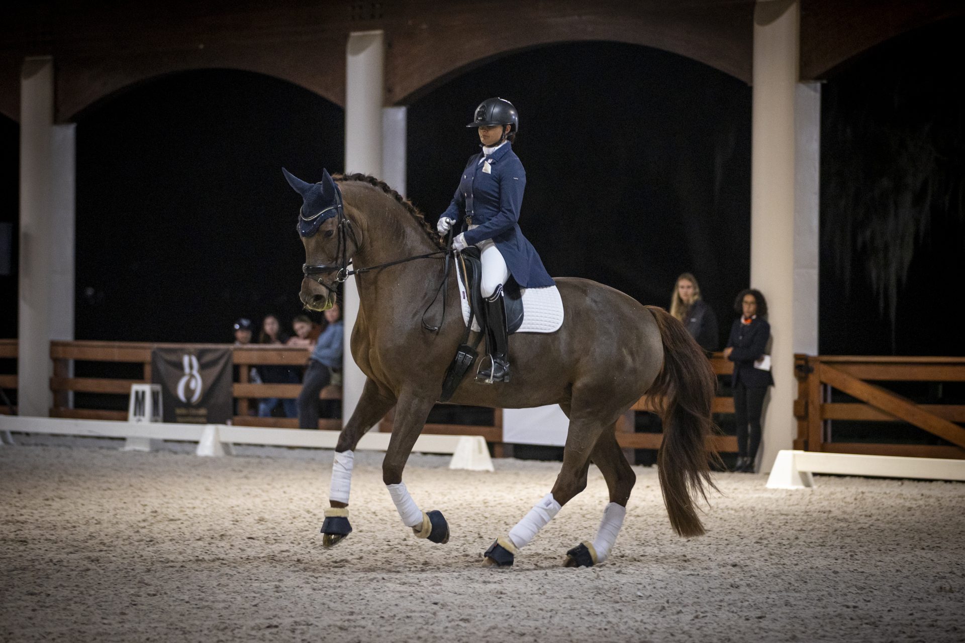 Brooke USA’s Divertimentos & Dressage Returns to Ocala on January 29 ...