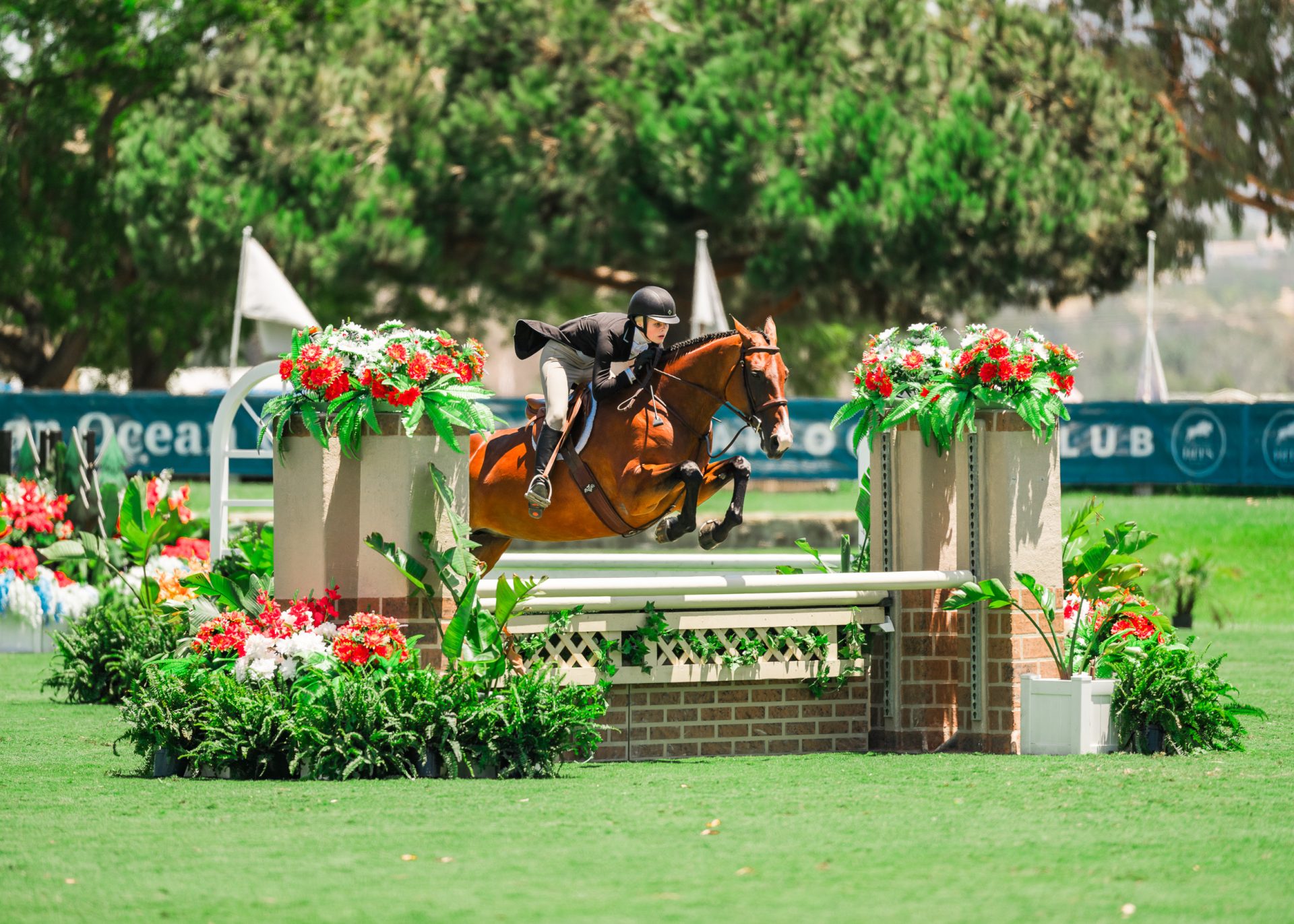 It's Horsemanship First For the Eynon Family - The Plaid Horse Magazine