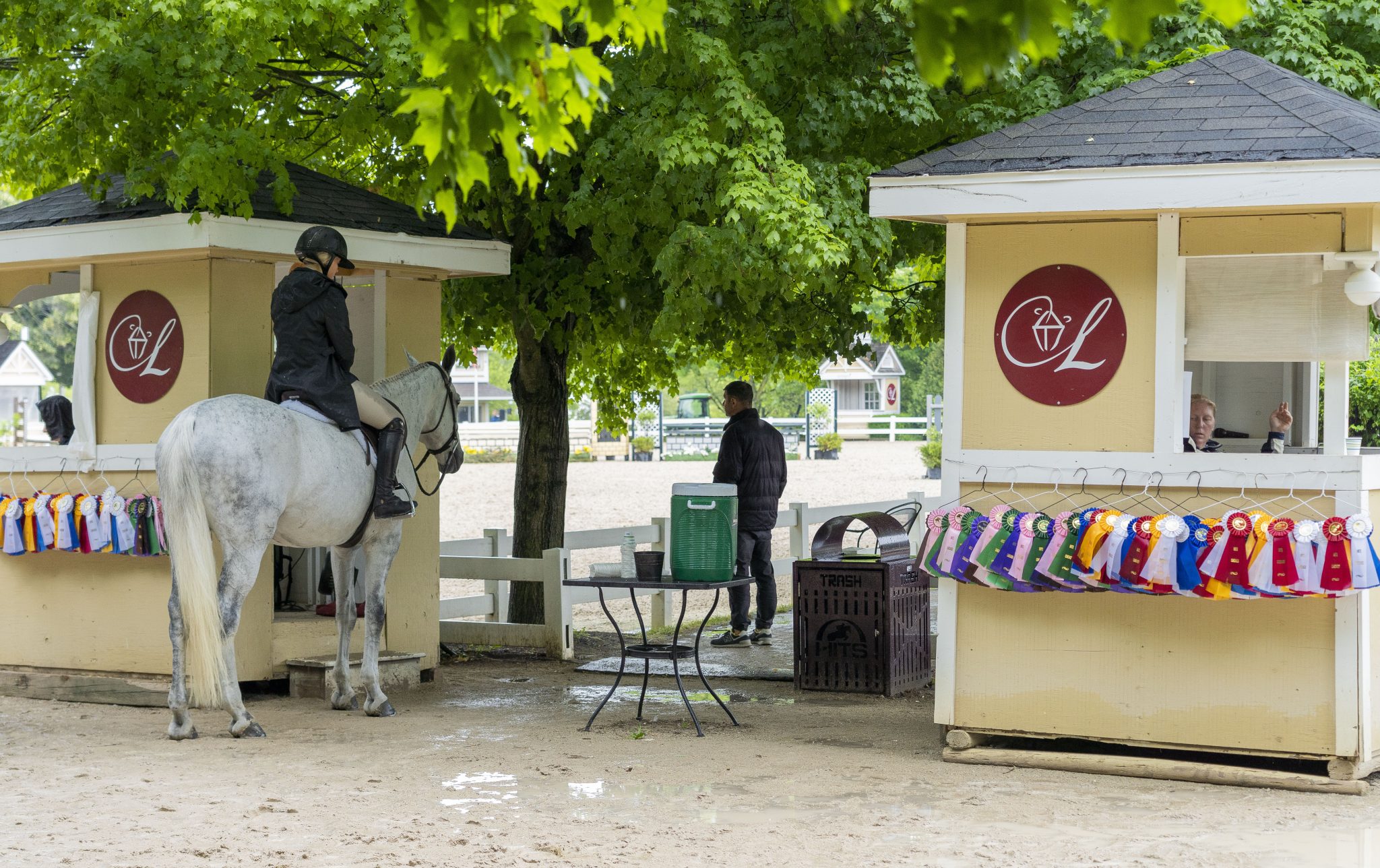 Get To. Like To. Love To. - The Plaid Horse Magazine