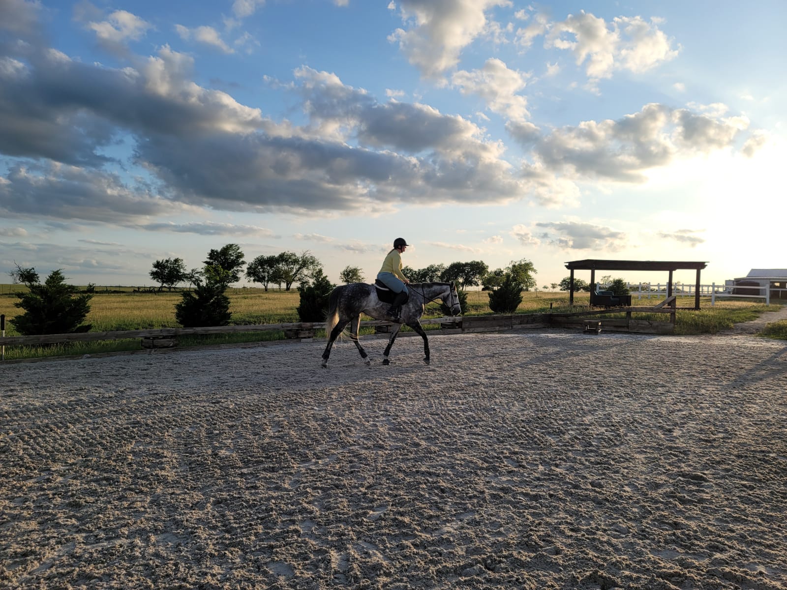 Barn Safety Starts Before the First Shift: Building a Culture of ...